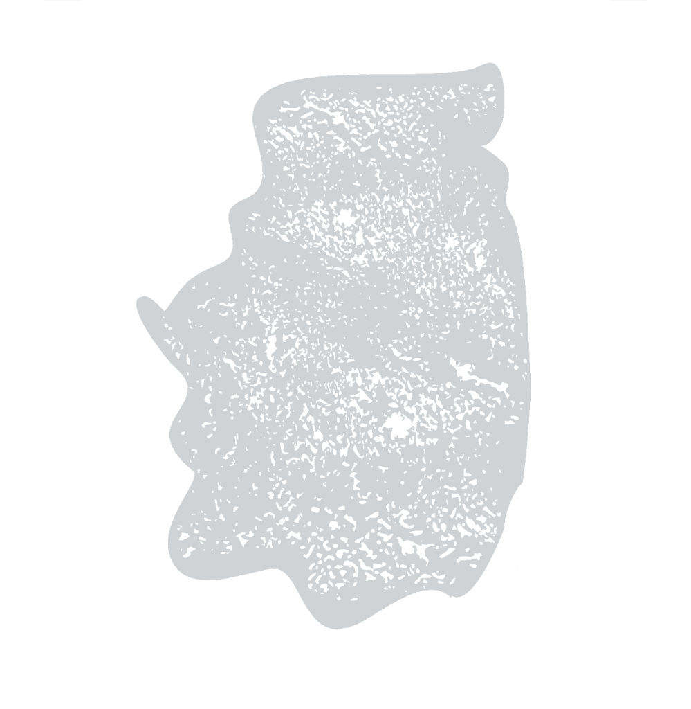 HammAirArt Organic Texture Stencil - Skin Like B - Foxy Studio