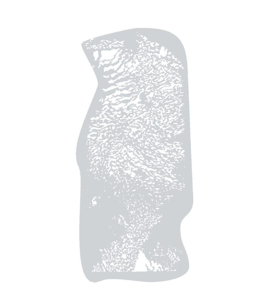 HammAirArt Organic Texture Stencil - Skin Like A - Foxy Studio