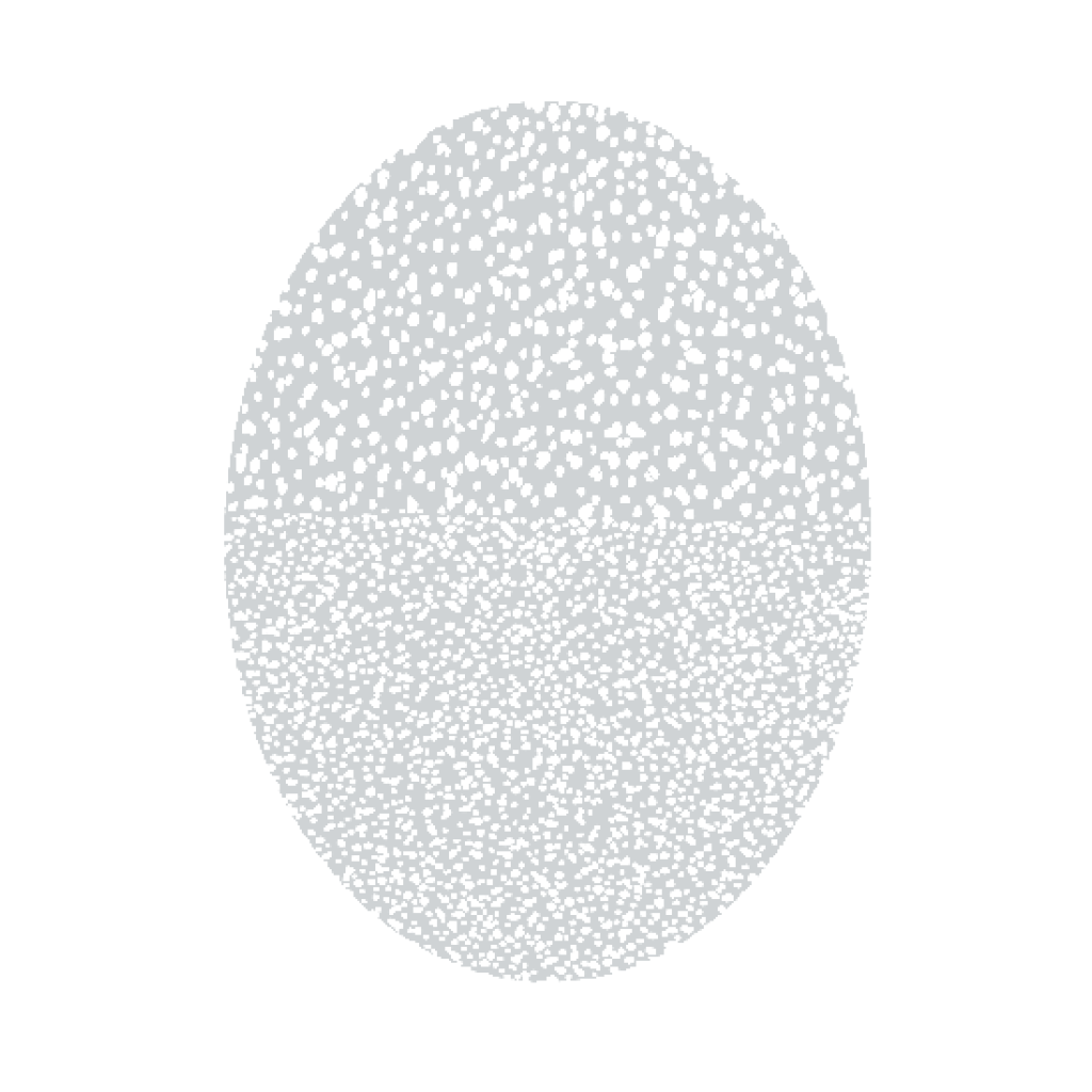 HammAirArt Mini Oval Texture Stencil - Mini&Micro Dots - Foxy Studio