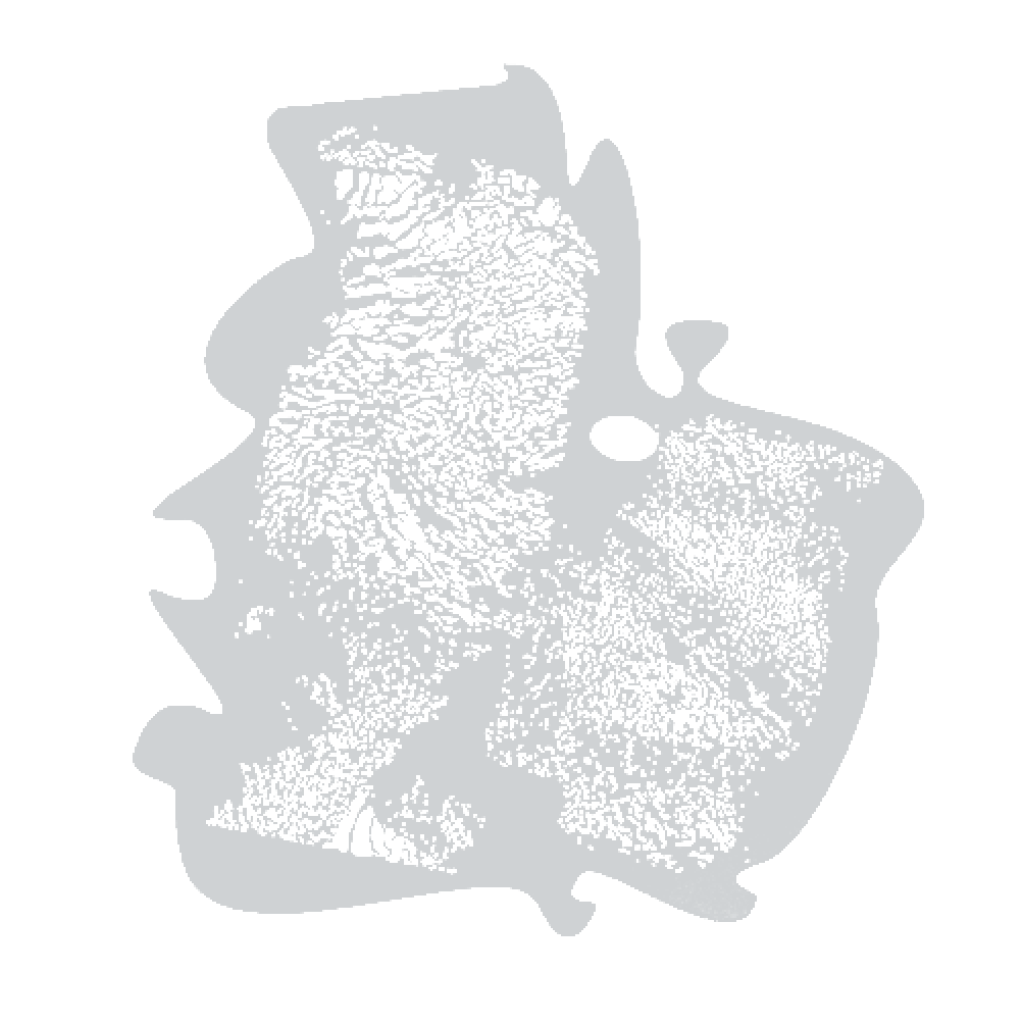 Freehand Templates - Foxy Studio